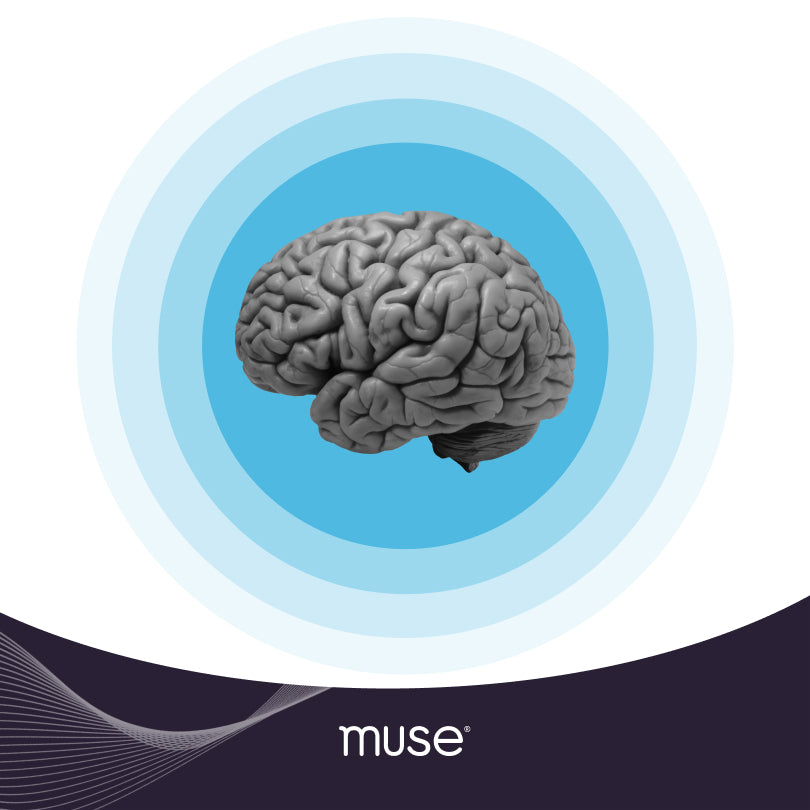 2024 Muse Brain Health Report Unveils New Insights into Cognitive Well ...