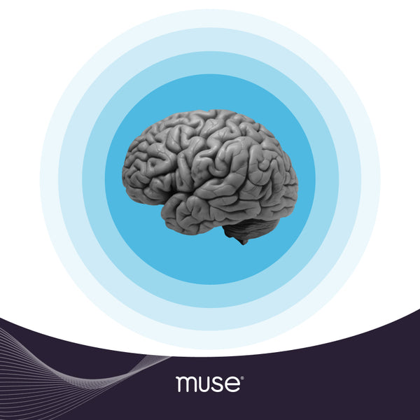 2024 Muse Brain Health Report Unveils New Insights into Cognitive Well ...