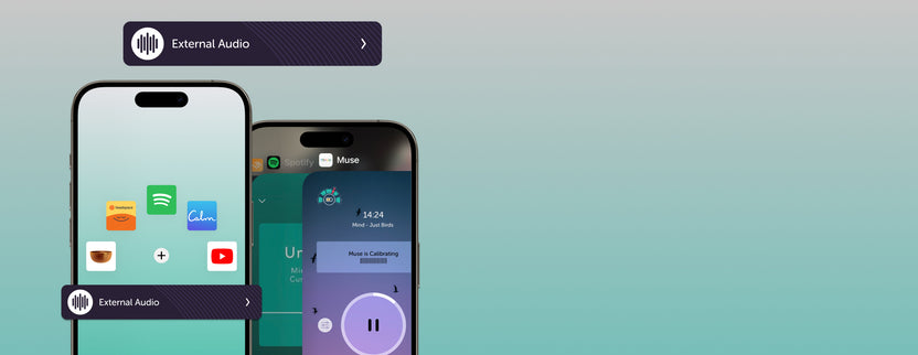 Muse 2 | Muse® EEG Mental Fitness & Sleep Headband