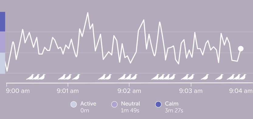 Muse S Athena Premium Subscription Bundle | Muse® EEG Mental Fitness & Sleep Headband